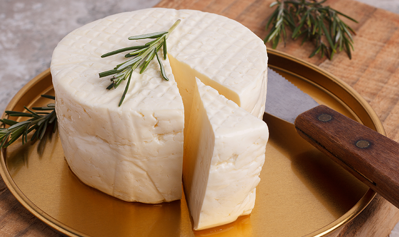 História do Queijo Prato - Queijos Premiatta